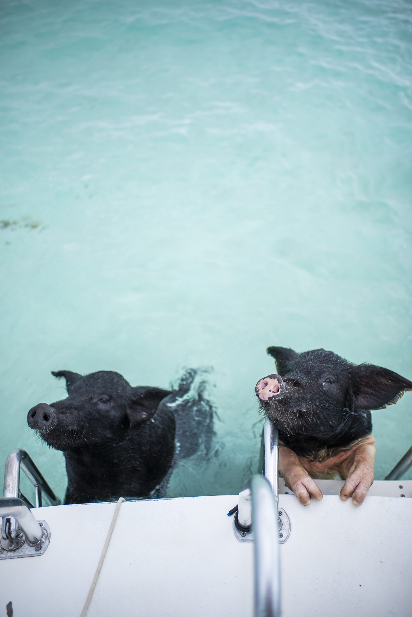 how come no one is talking about Exuma, Bahamas